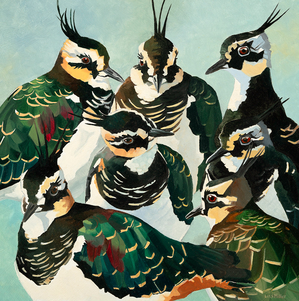 A Deceit of Lapwings Original Oil – Lisa Miller Fine Art